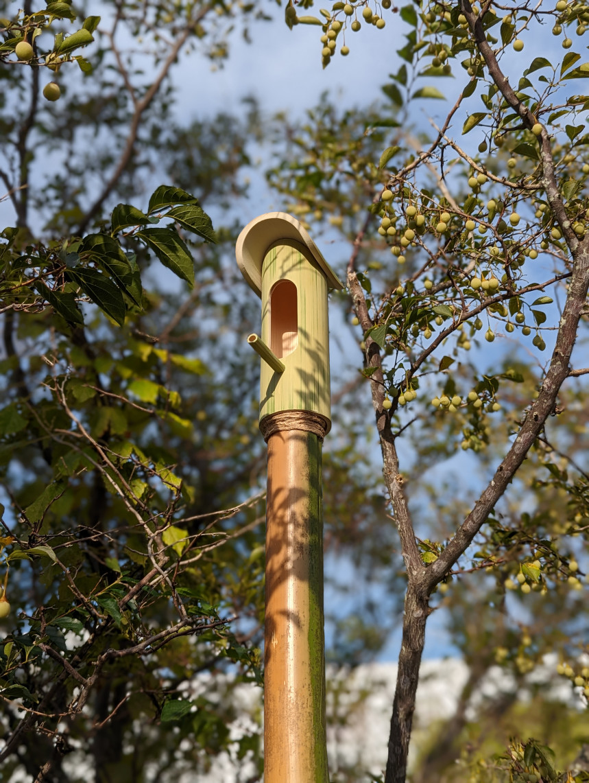 Bamboo Birdhouse / LEUYS